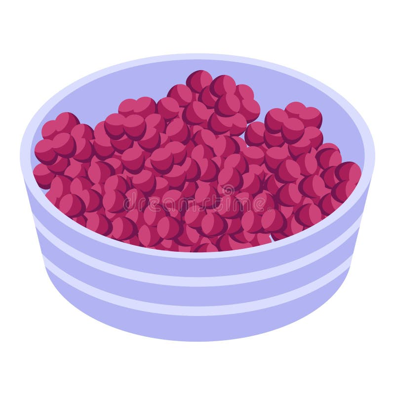 Red Grapes Basin Icon, Isometric Style Stock Vector - Illustration of ...