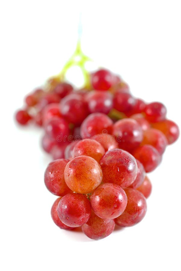Red grapes stock image. Image of plant, grapes, crop - 44112155