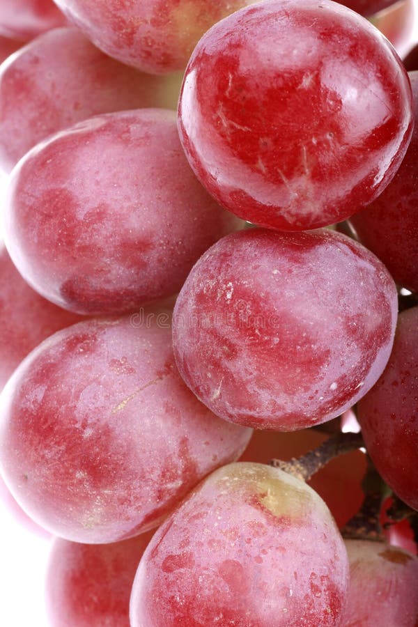 Red grapes close-up stock photo. Image of fruits, close - 13021292