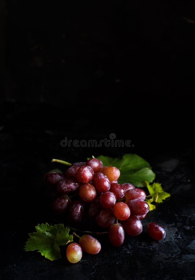 Red Grapes on a Dark Background Stock Image - Image of vineyard ...
