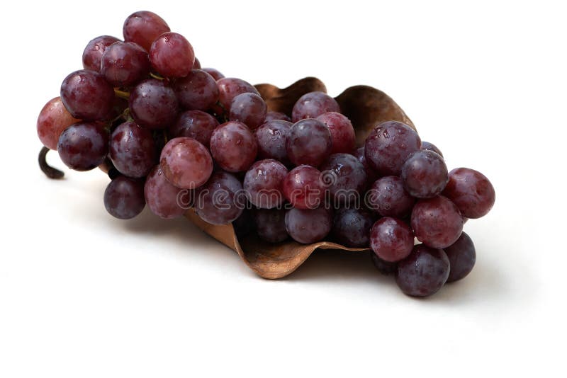 Red Grapes on Dry Leaf Isolated on White Stock Image - Image of grape ...