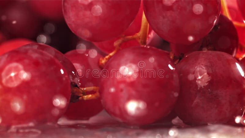 Red Grapes Fall with Splashes on a Wet Table. Filmed on a High-speed ...