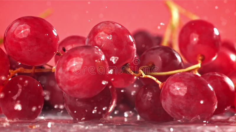 Red Grapes Fall with Splashes on a Wet Table. Filmed on a High-speed ...