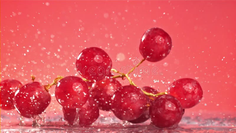 Red Grapes Fall with Splashes on a Wet Table. Filmed on a High-speed ...