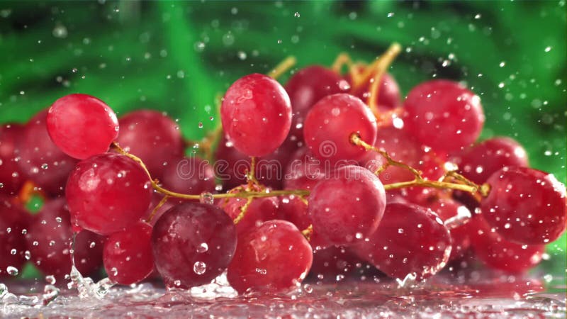 Red Grapes Fall with Splashes on a Wet Table. Filmed on a High-speed ...