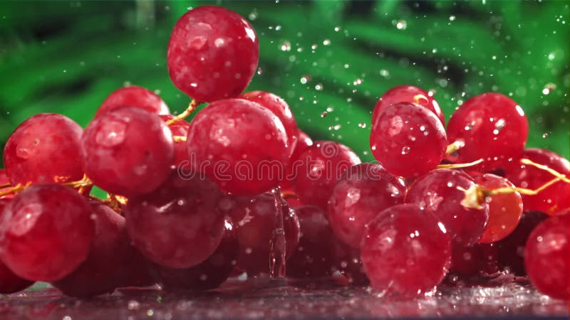 Red Grapes Fall with Splashes on a Wet Table. Filmed on a High-speed ...