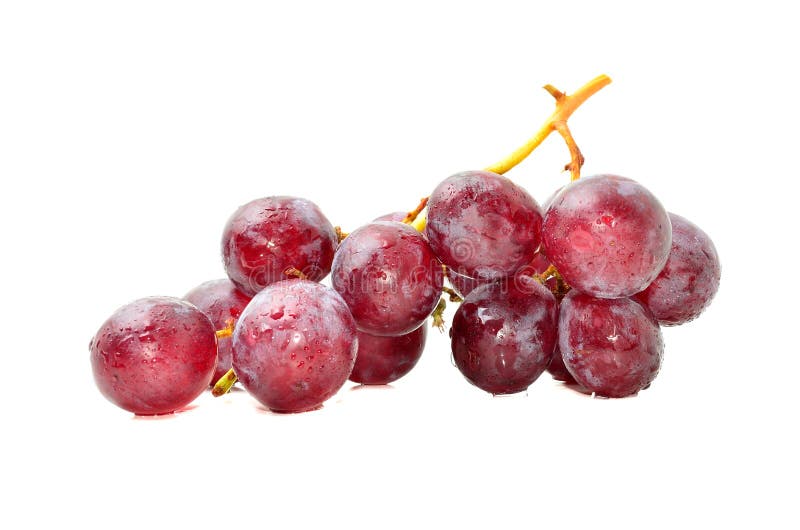 Red grapes stock image. Image of bunch, green, isolated - 42088267