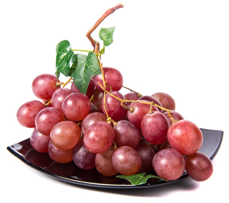 Red grapes stock photo. Image of diet, yield, willow - 41068556