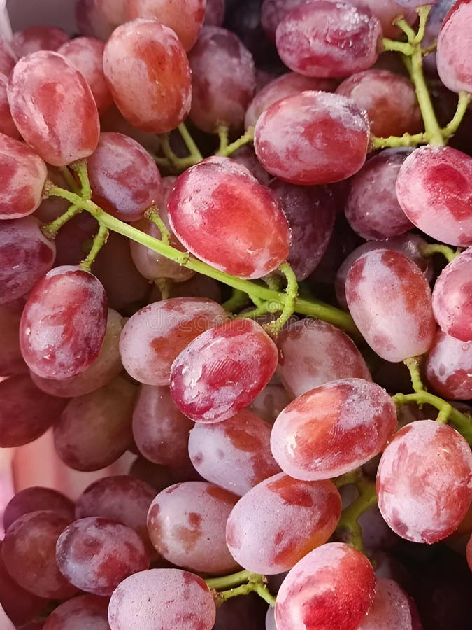 Red grapes in the market stock photo. Image of agriculture - 274524156