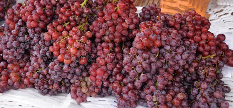 Red grapes market stock photo. Image of purple, beautiful - 61046920