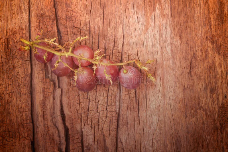Red Grapes stock photo. Image of wood, people, food, eating - 65700046