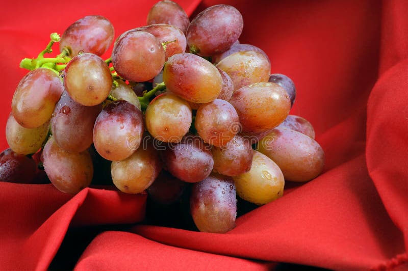 Red Grapes on Red stock image. Image of nutrition, macro - 389577