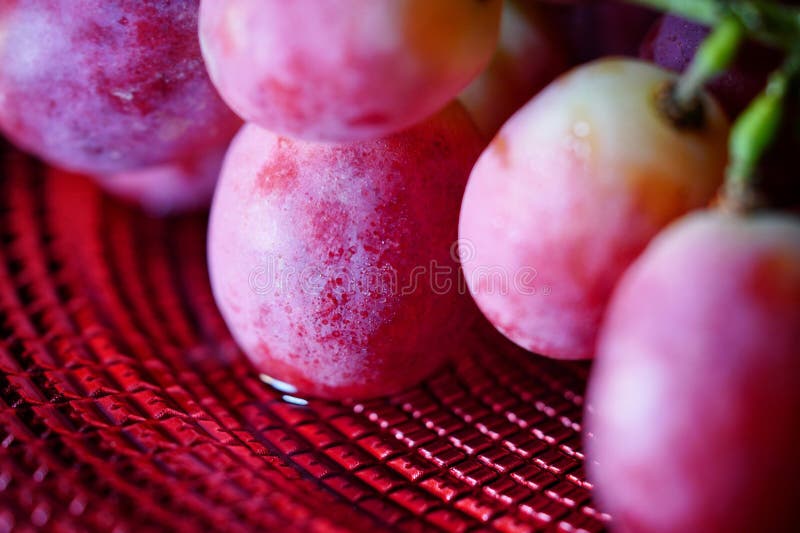 Red Grapes Seeds on a Red Plate Stock Image - Image of indoor, seeds ...