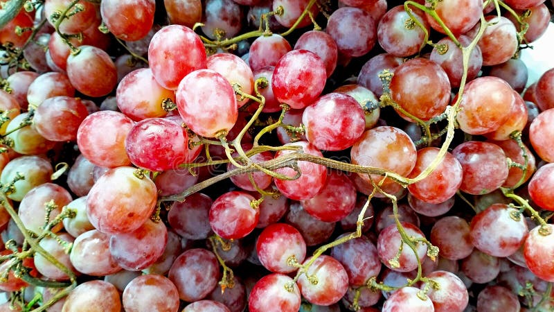 Red Grapes, Small Round Fruit that Grows in Clusters Stock Image ...