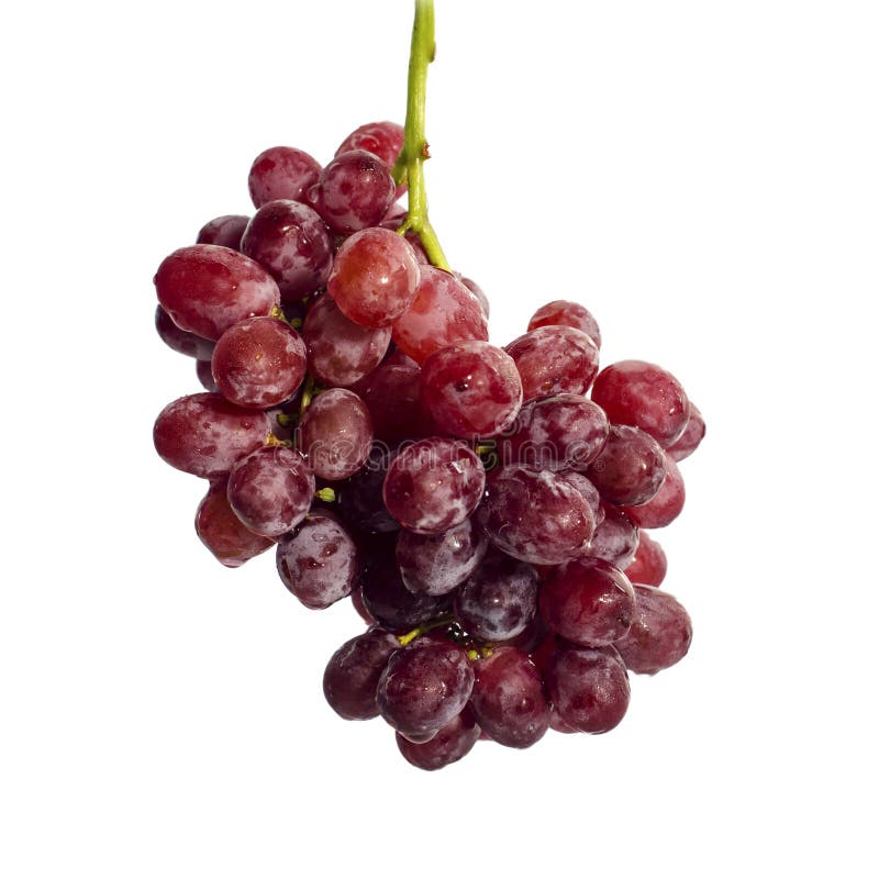Red Grapes, White Background Stock Image - Image of cluster, depth ...