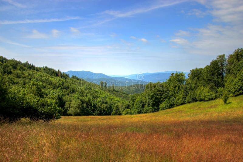 Red Grass Field stock photo. Image of field, tree, blue - 42466920