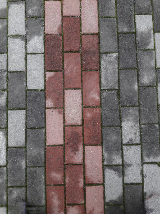 Red and Gray Pavement Tiles, after the Rain. Texture and Background of ...
