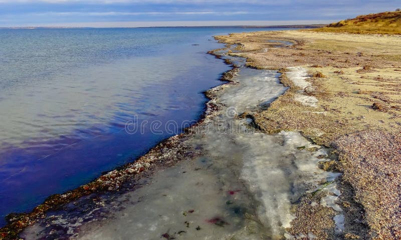 Red and Green Algae Under the Ice. Shore of the Frozen Tiligul Estuary ...