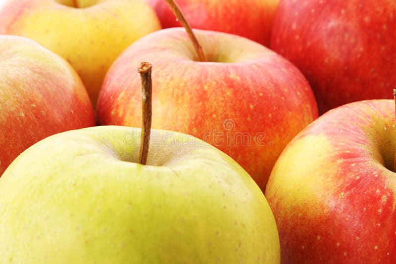 Red and green apple stock image. Image of green, color - 13855575