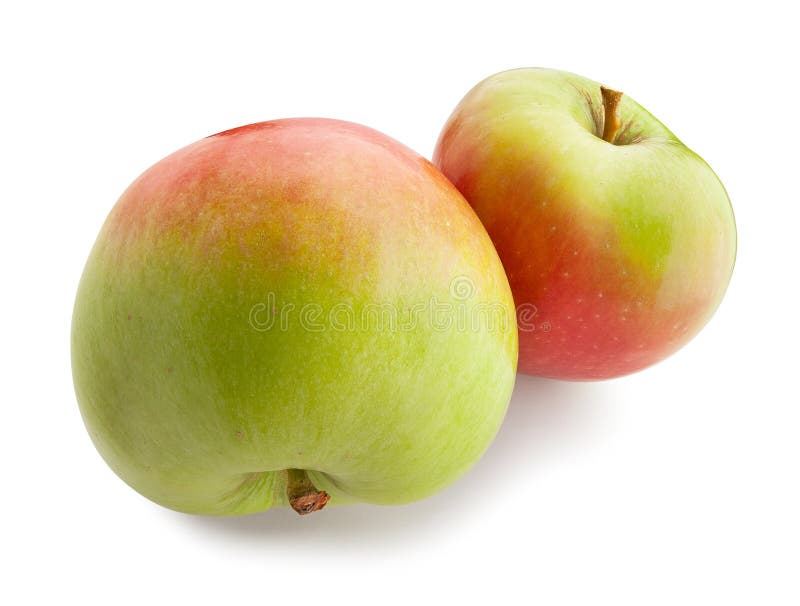 Red green apple stock image. Image of studio, nutrient - 214340981