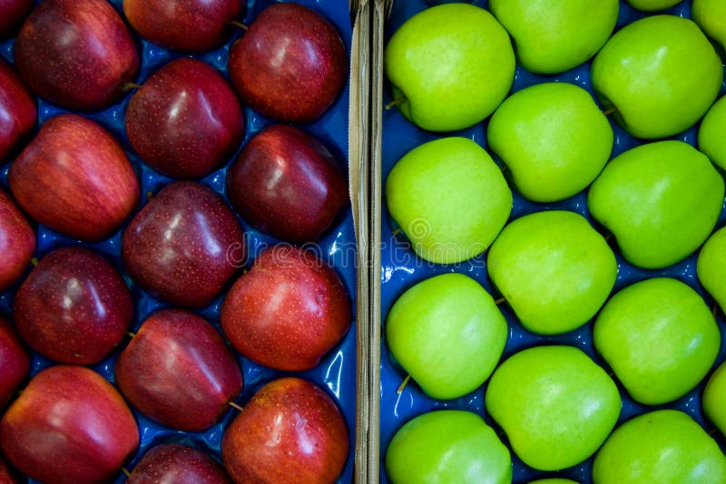 Red and green apples stock image. Image of delicious - 11177669