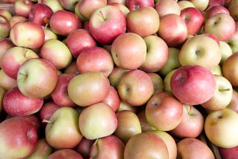 Red and green apples stock photo. Image of york, square - 12792014