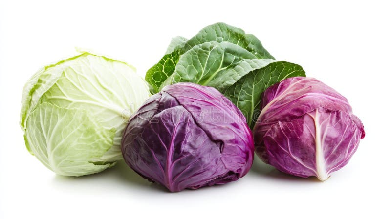 Red and Green Cabbage Stand Out Against a Clean White Backdrop ...