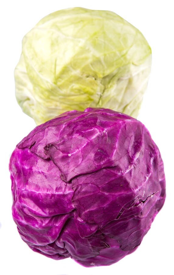 Red and Green Cabbage IV stock image. Image of nutritious - 49566299