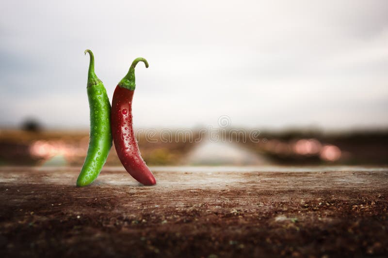 Red and Green Chili in a Field Landscape Stock Photo - Image of ...