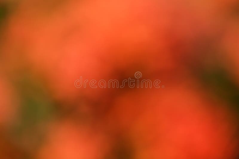 Red and Green Color for Background Stock Photo - Image of christmas ...