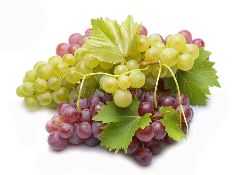 Red and Green Grapes with Leaves Isolated on White Background Stock ...