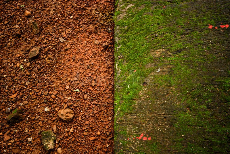Red & Green Natural Footpath Texture Background Stock Image - Image of ...