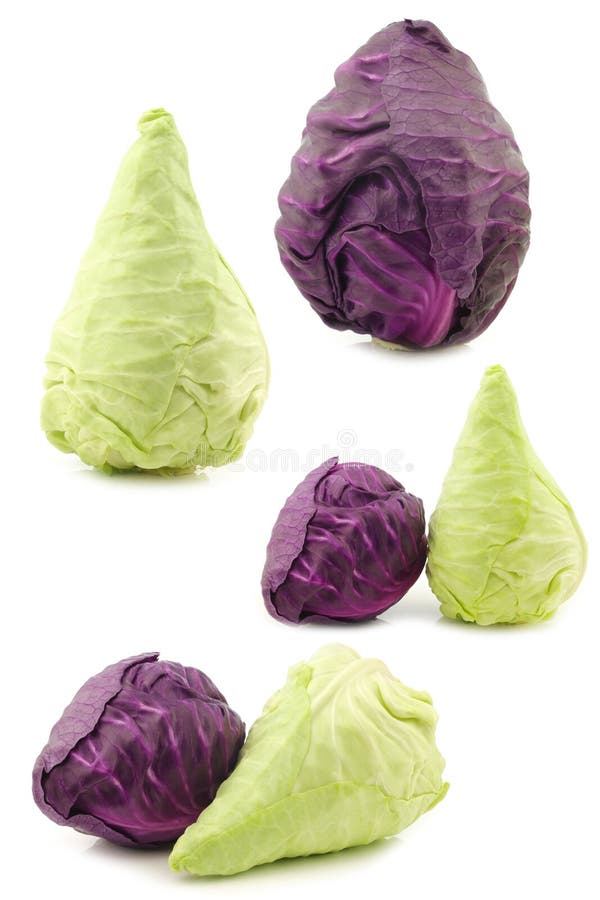 stock photo. Image of organic, plant, cooking, healthy - 219884336