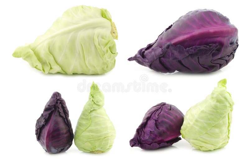 A Red and a Green Pointed Cabbage Stock Photo - Image of harvested ...
