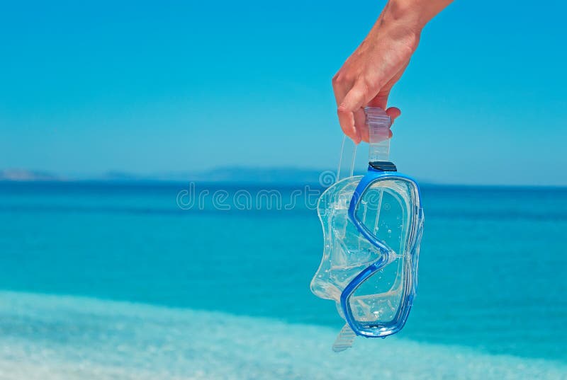 Red and green stock photo. Image of mollusc, seaside - 31750316