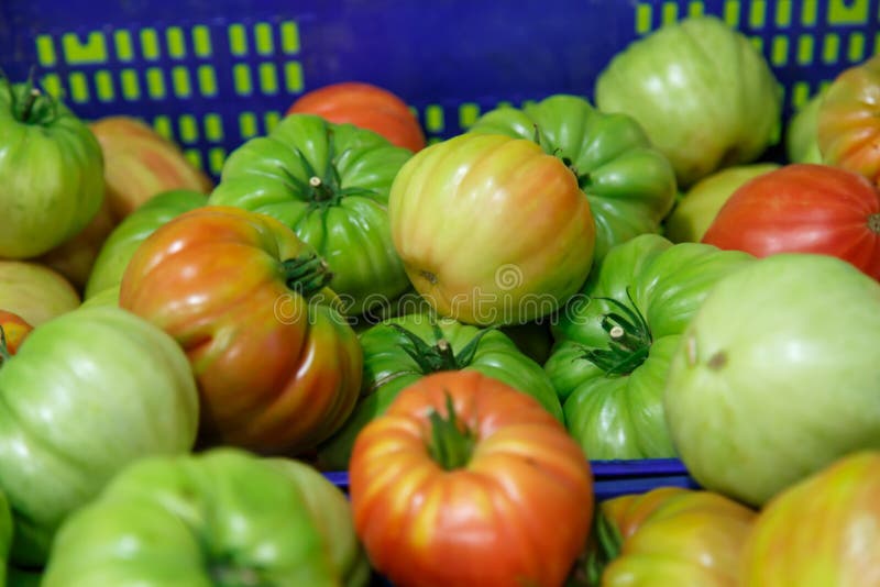 Red and Green Tomatoes on a Box Stock Image - Image of agriculture ...