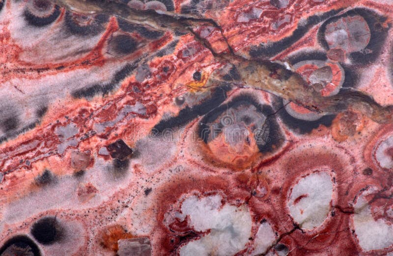 Red and Grey Bright Rhyolite Texture Stock Image - Image of stone ...