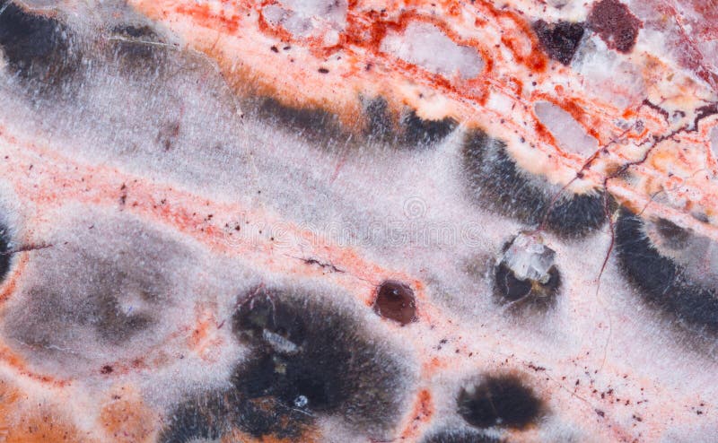 Red and Grey Rhyolite Extreme Macro Stock Image - Image of quartz, rock ...