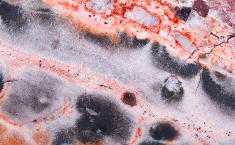 597 Rhyolite Texture Stock Photos - Free & Royalty-Free Stock Photos ...