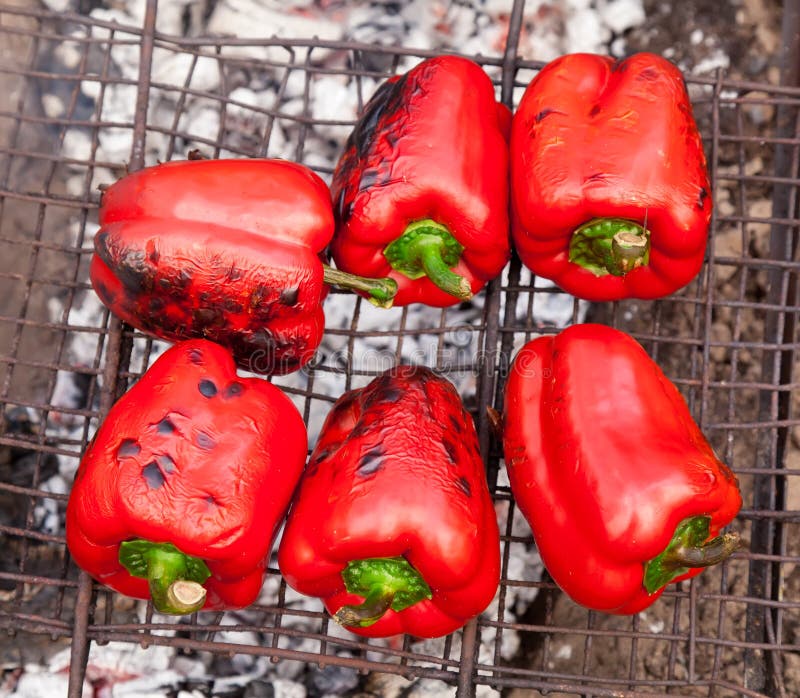 Red grilled pepper on bbq stock photo. Image of pepper - 24434174