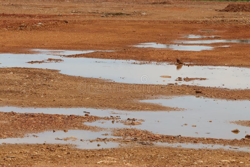 Red Ground with Small Puddles Surface Background Stock Image - Image of ...
