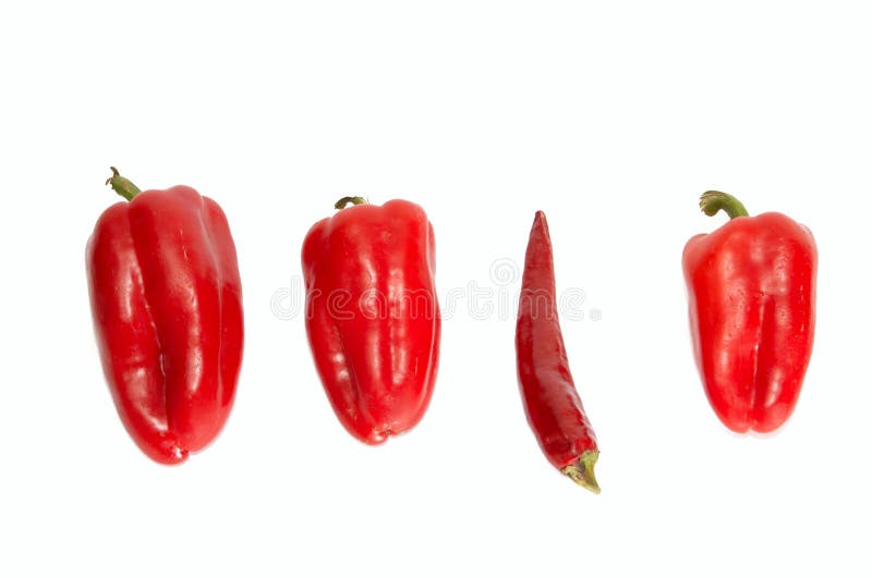 Red Group Picture. Image: 3149428