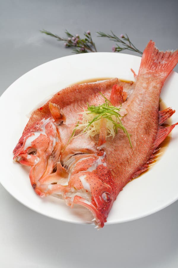 Red grouper stock photo. Image of underwater, live, cooking - 89353528