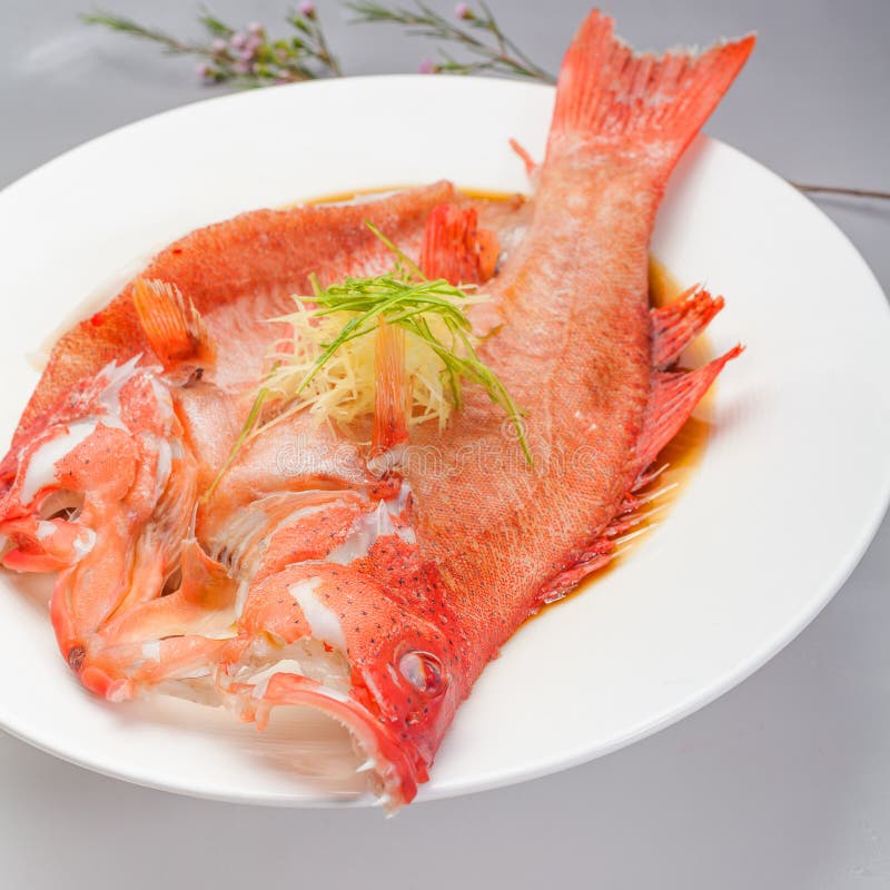 Red grouper stock photo. Image of cooking, white, delicious - 89353510