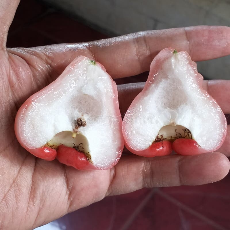 Red guava fruit is yummy stock image. Image of fresh - 269744525