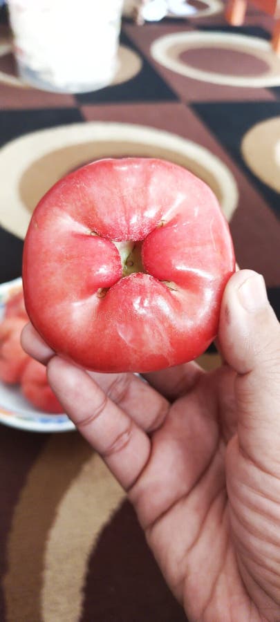 Red Guava, Sweet Taste, Hand Held Stock Photo - Image of delicious ...