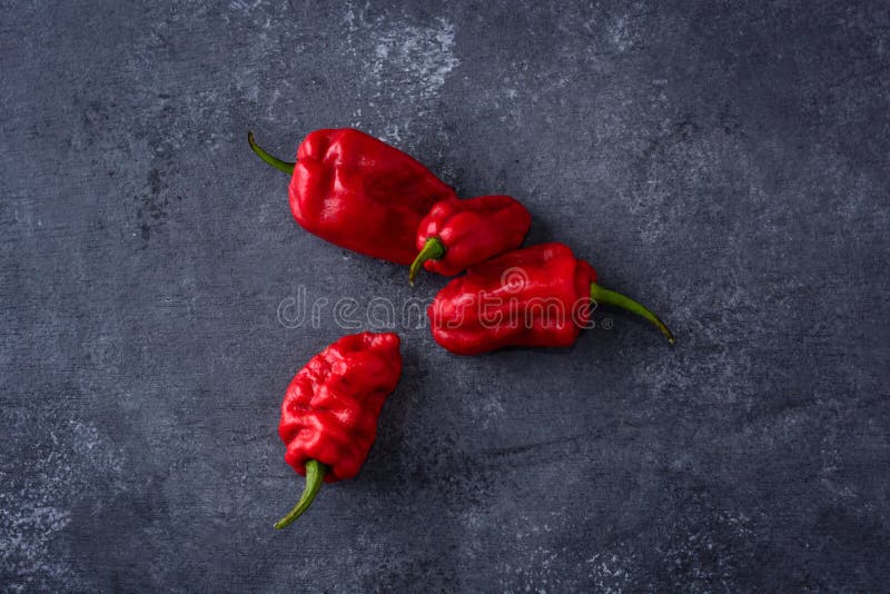 Red Habanero Chilli Peppers Stock Photo - Image of habanero, ripe ...