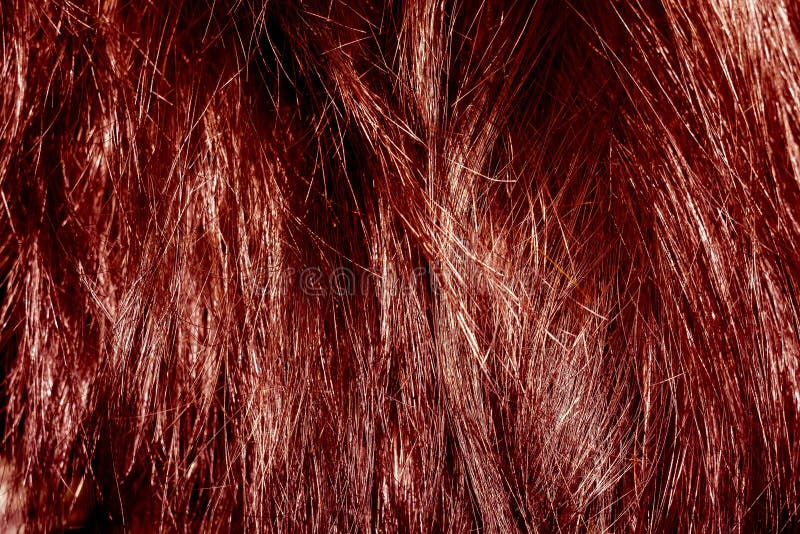 Red Hair Texture stock photo. Image of close, health - 61571024