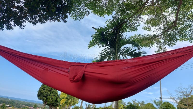 Red Hammocks Hang during the Day Stock Image - Image of tree, hammocks ...