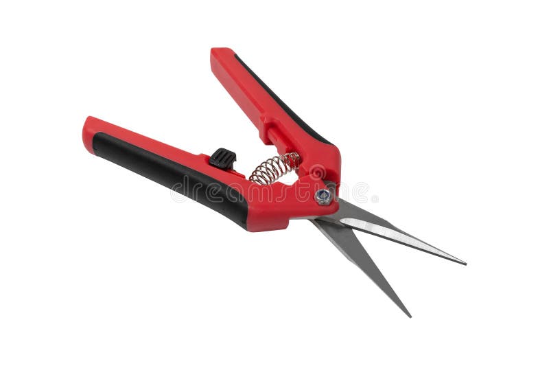 Red Hand Pruner Scissors. Isolated on a White Background Stock Image ...